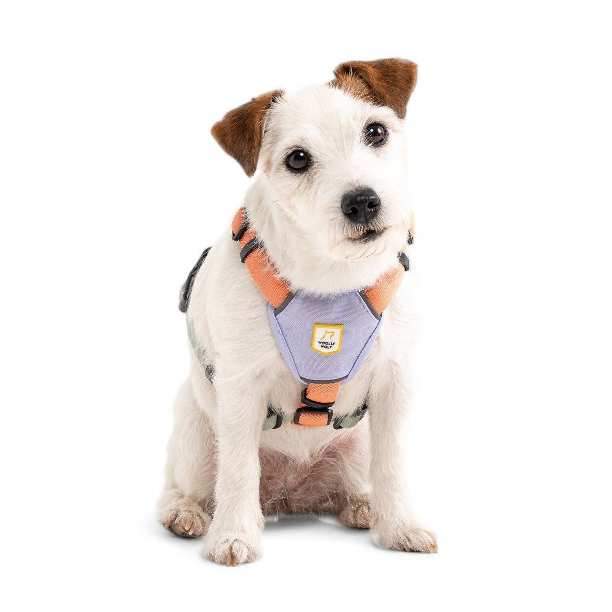 Color Block Harness: 5-Point Adjustable Support - Woolly Wolf