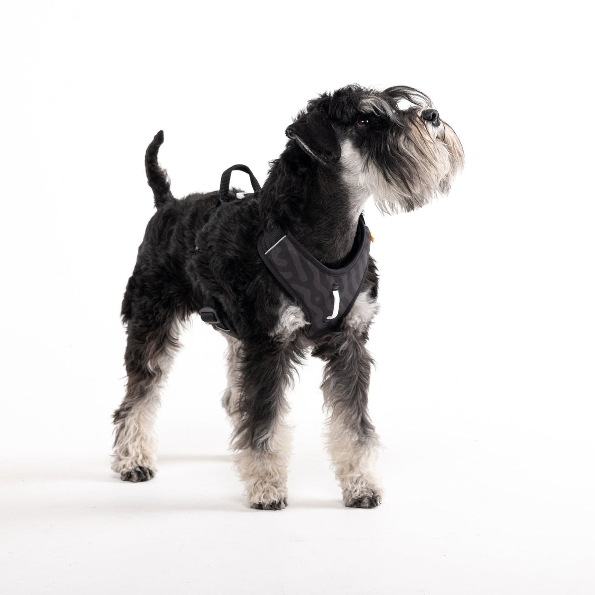 Roam Harness Black Ripple – Woolly Wolf