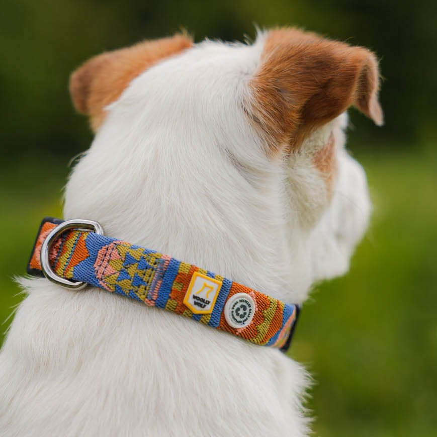 Nightless Night Collar – Woolly Wolf